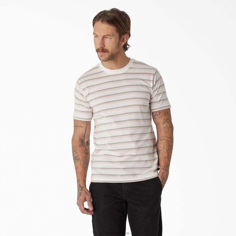 Para los creadores - Dickies Peru shop